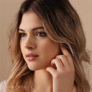 Super Tiny Sea Turtle Threadless Flat Back Nose Stud, 20,18,16ga, 5-10mm Unisex, Surgical Steel ...