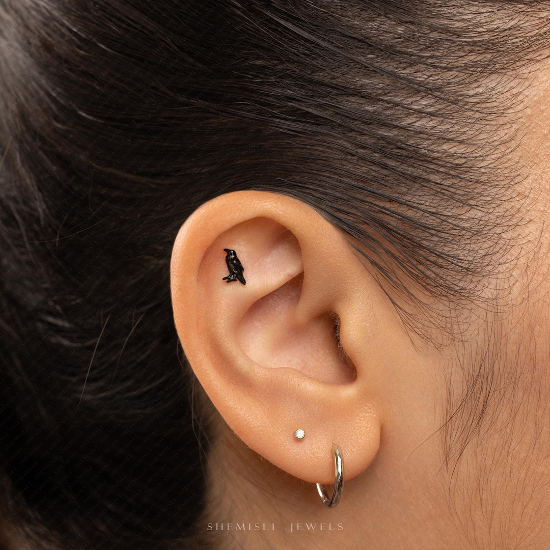 Tiny Crow Raven Threadless Flat Back Earring, 20,18,16ga, 5-10mm Unisex, Stainless Steel ...