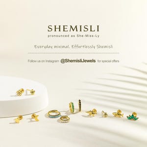 Super Tiny Sea Turtle Threadless Flat Back Nose Stud, 20,18,16ga, 5-10mm Unisex, Stainless Steel ...