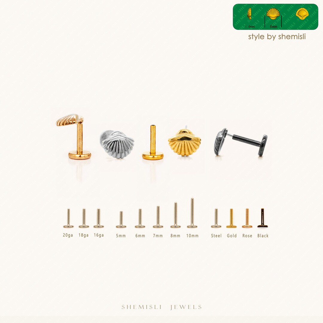 Tiny Fan Shape Shell Threadless Flat Back Earrings, Nose Stud, 20,18 ...
