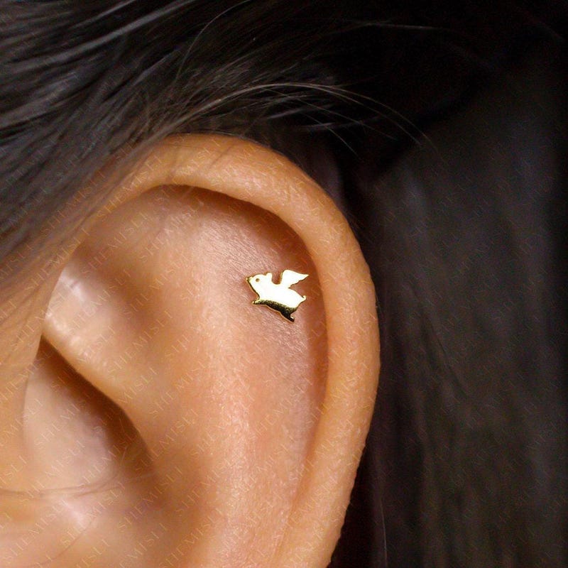 Types of Small Cars - Etsy