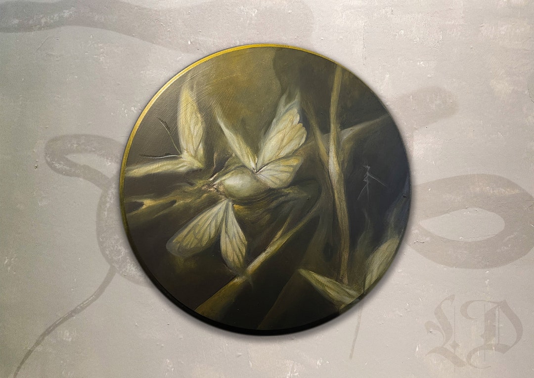Espacios Ocultos hidden Spaces Oil Painting Butterfly, Rebirth ...