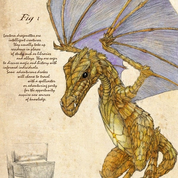 Lantern Dragonette - Etsy