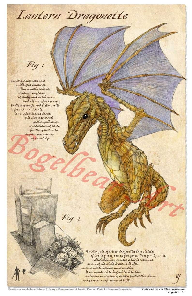 D&D Lantern Dragonette - Etsy