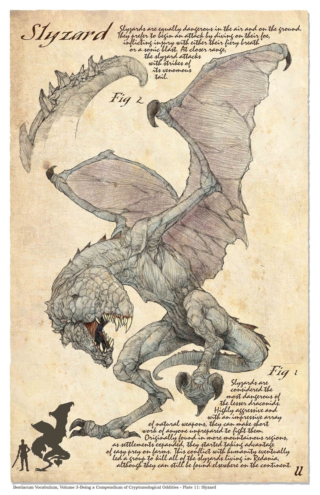 Slyzard the Witcher Naturalist Inspired Poster - Etsy