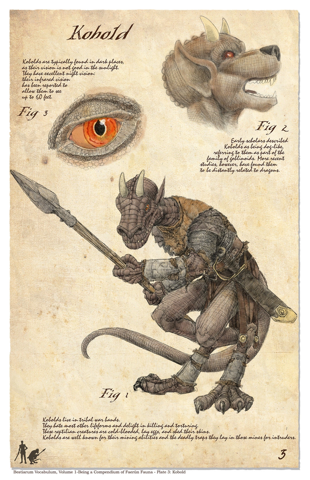 D&D Kobold Bestiarum Vocabulum, Volume 1being a Compendium of Faerûn ...