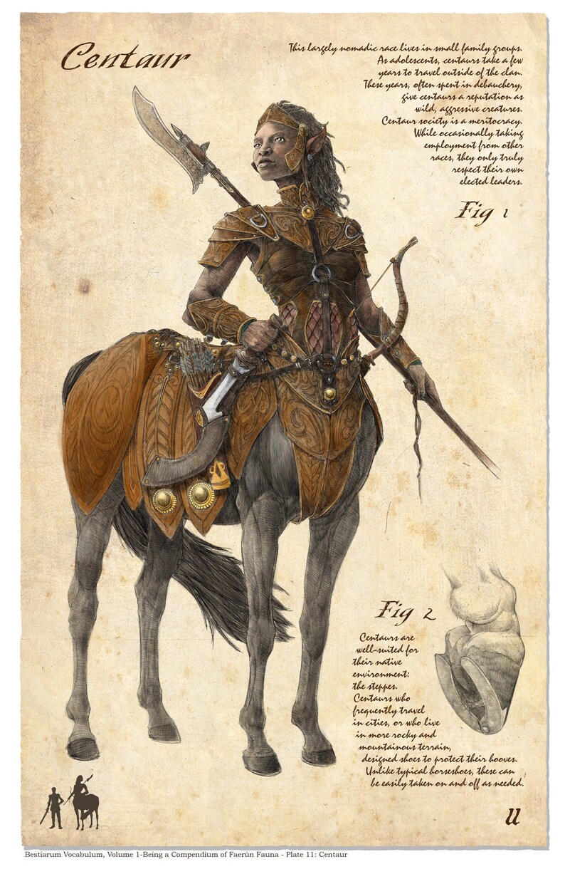 D&D Centaur Bestiarum Vocabulum Volume 1being a Compendium | Etsy