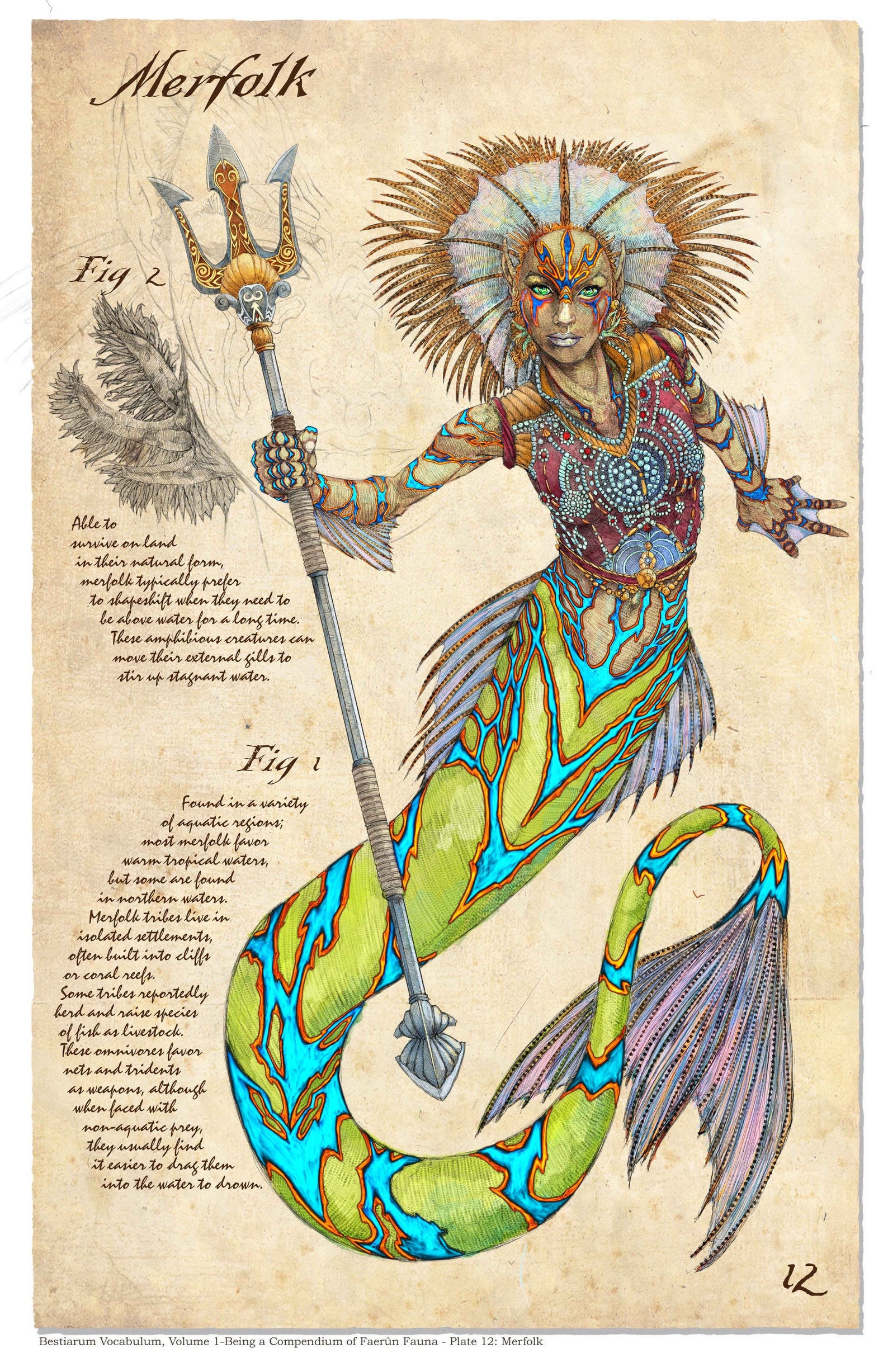 D&D Mermaid/merfolk Bestiarum Vocabulum Volume 1being a - Etsy India