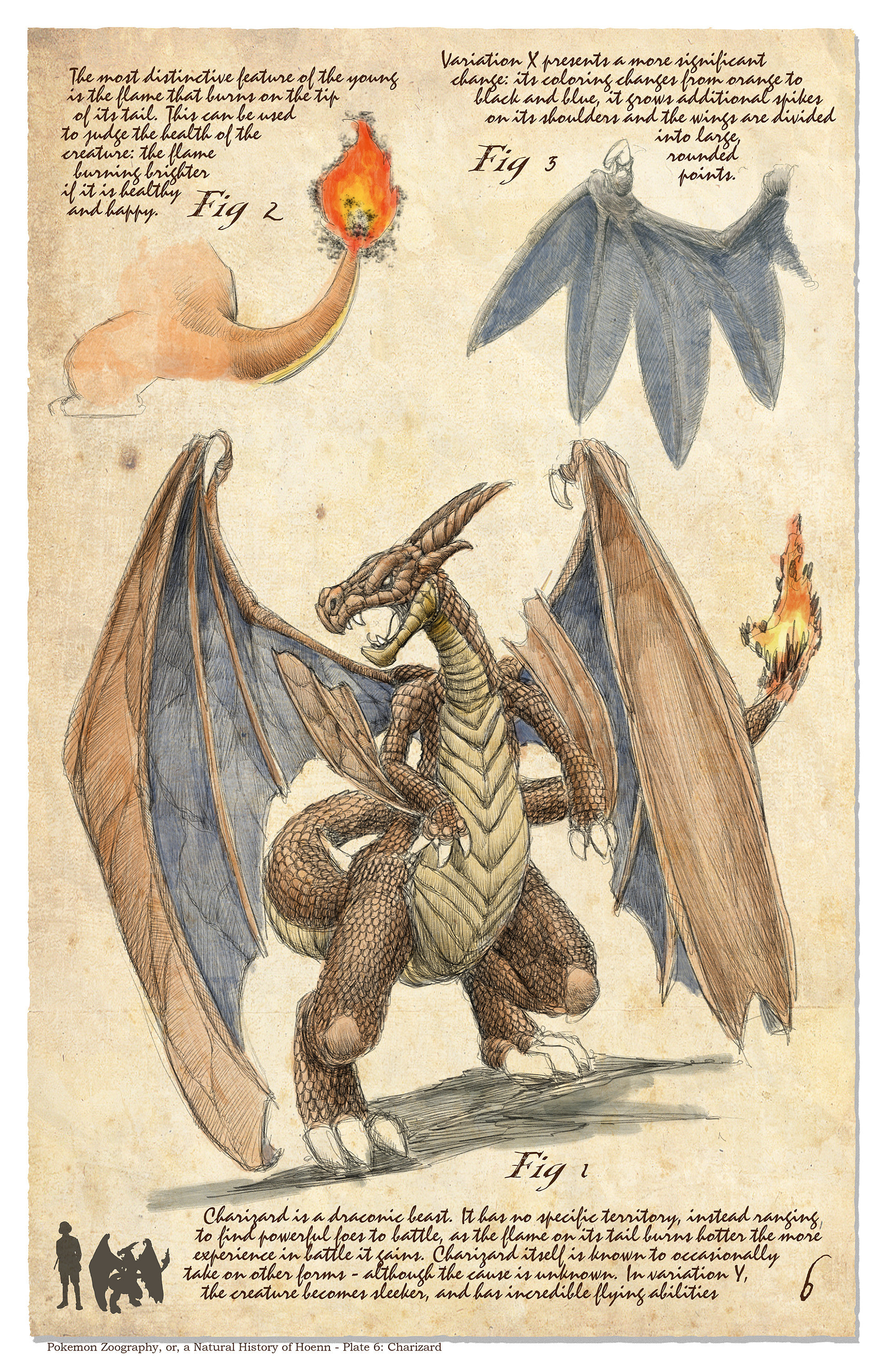 Realistic Charizard