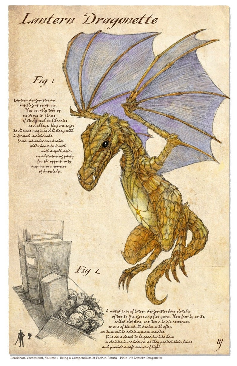 D&D Lantern Dragonette | Etsy