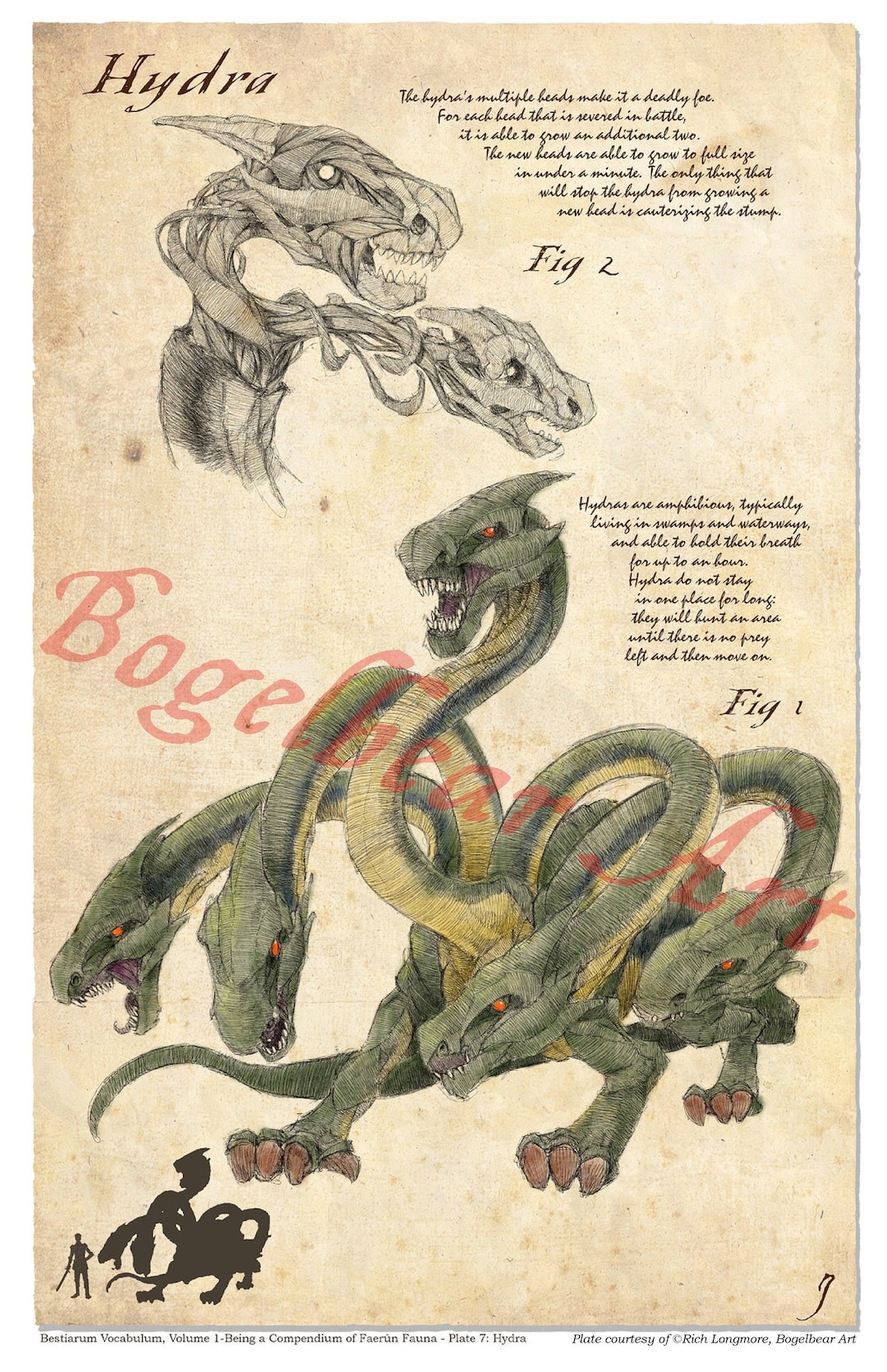 D&D Hydra — Bestiarum Vocabulum, Volume 1–being a Compendium of Faerûn ...