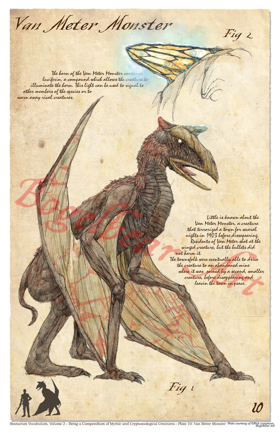 Van Meter Monster Naturalist Plate - Etsy