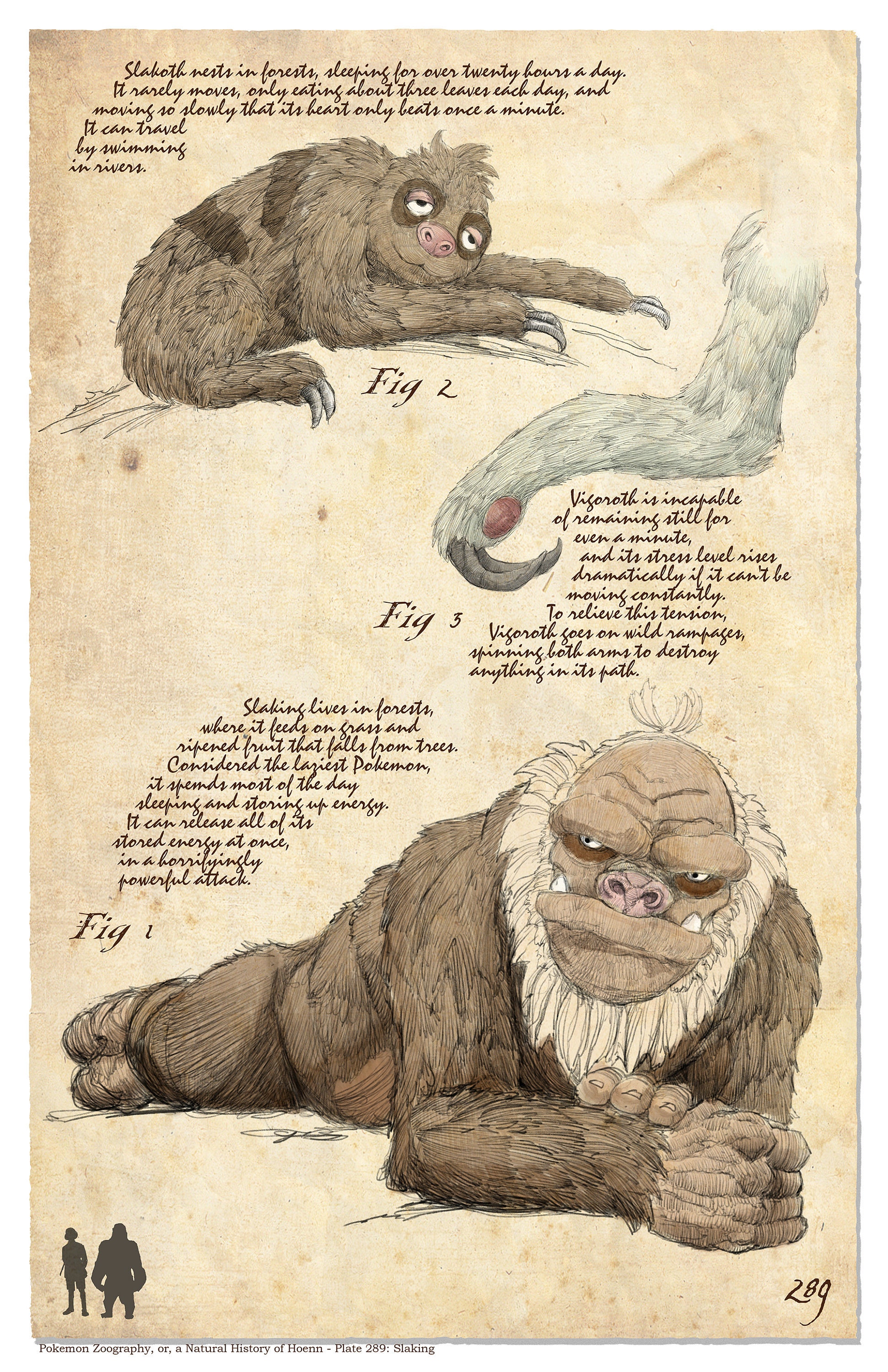 Slakoth Vigoroth Slaking