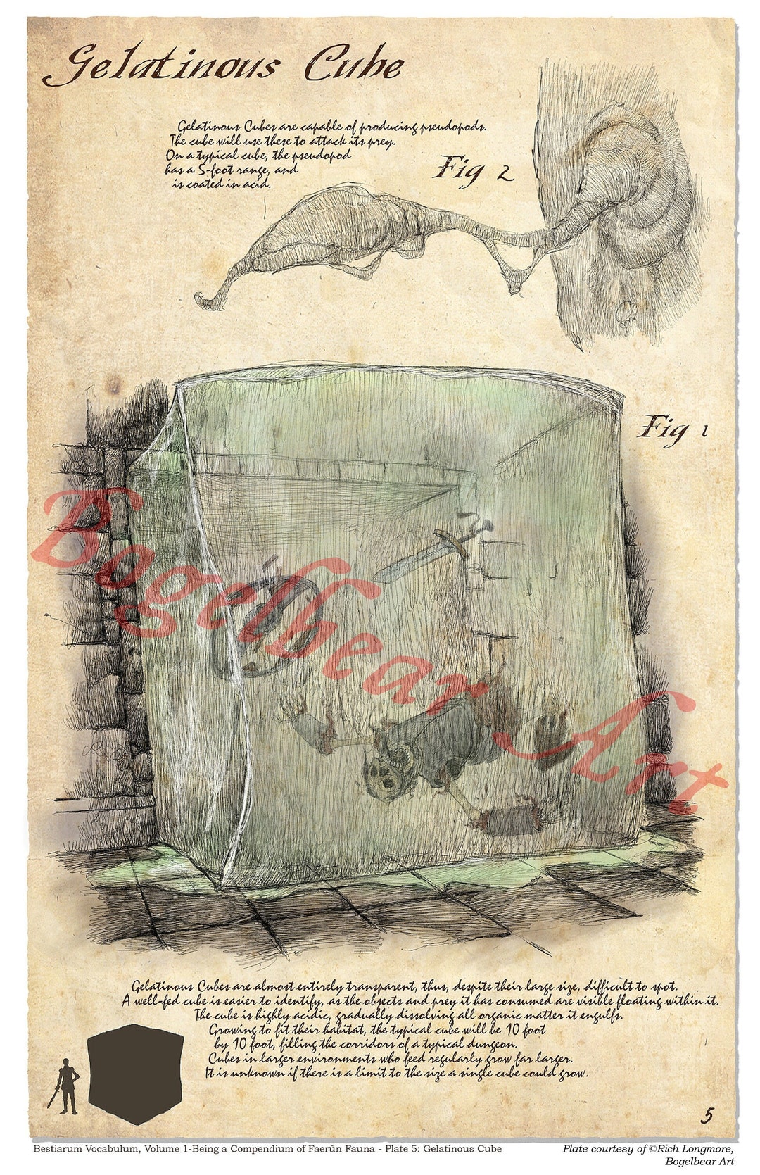 D&D Gelatinous Cube — Bestiarum Vocabulum, Volume 1–being a Compendium ...