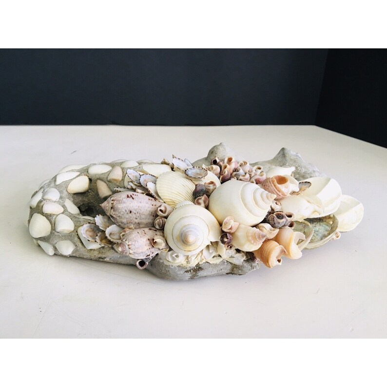 Mermaid Genuine Seashell Wall Mount Sculpture - Etsy