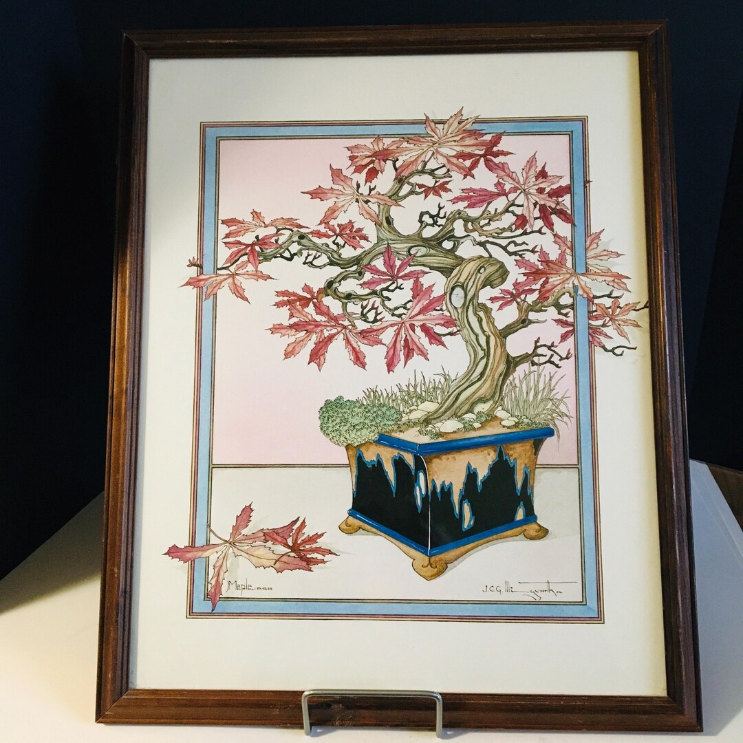 Graham Illingworth Japanese Maple Bonsai Tree Art Print Framed 22" X 17 ...