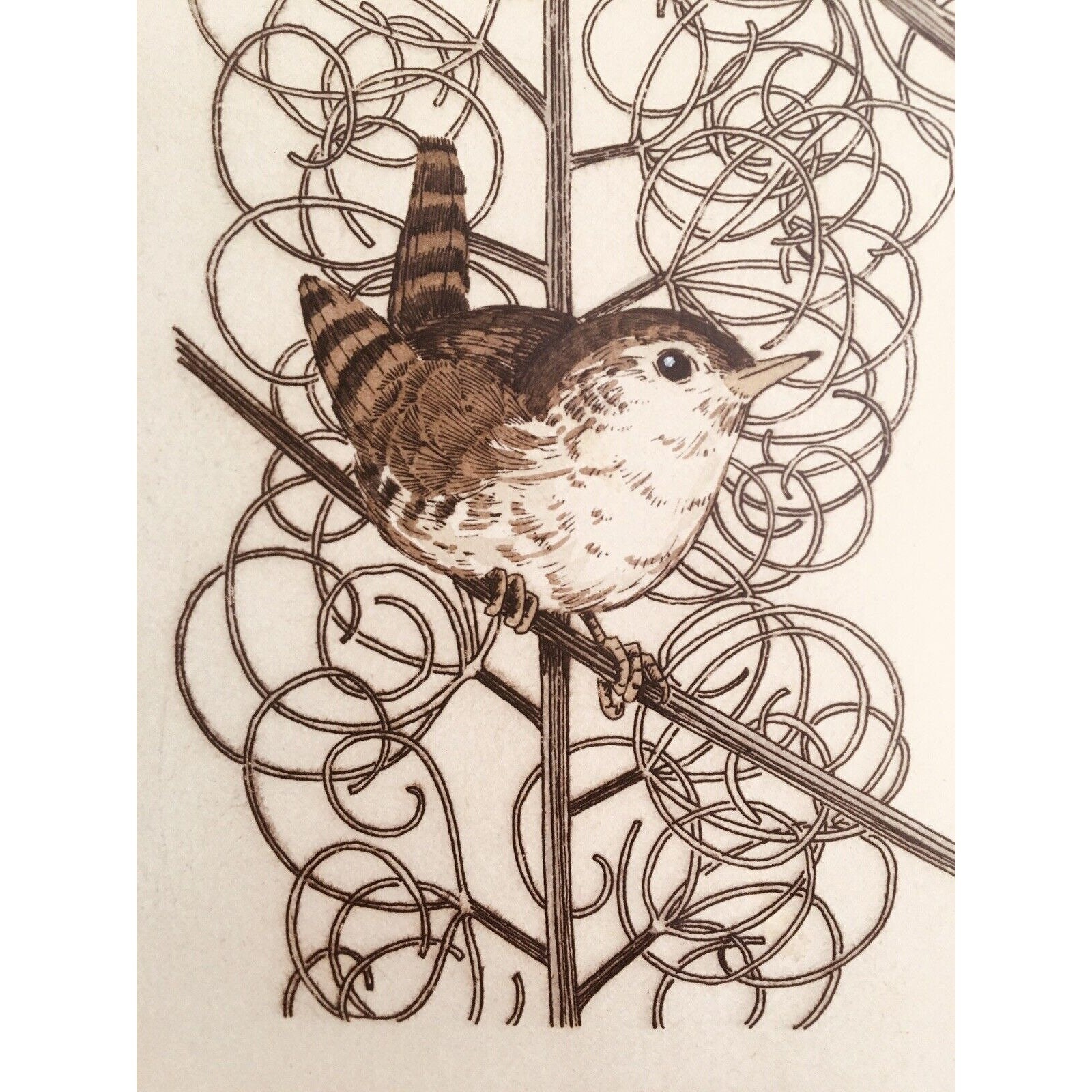 Yvonne Davis Signed and Framed Fire Weed Limited Edition Etching 58/200 15.5 X 17 - Etsy