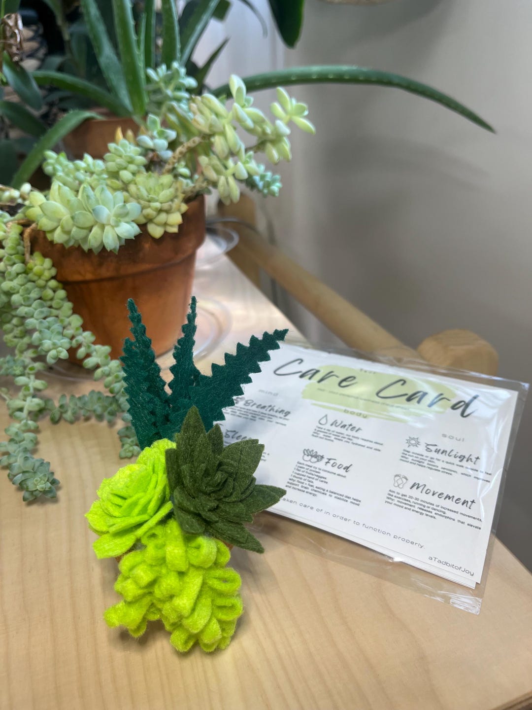 Small DIY Felt Succulent Kit | Wellness Craft | Creative Self-care ...