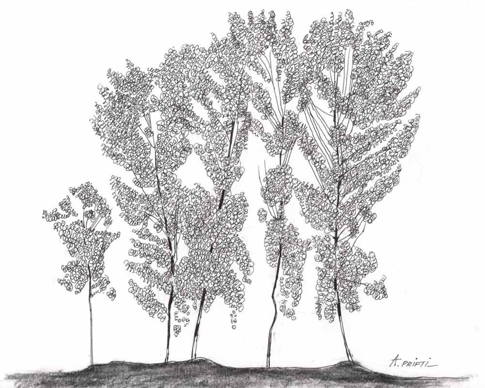 Print of LANDSCAPE DRAWING tree ink drawing ink prints fine | Etsy
