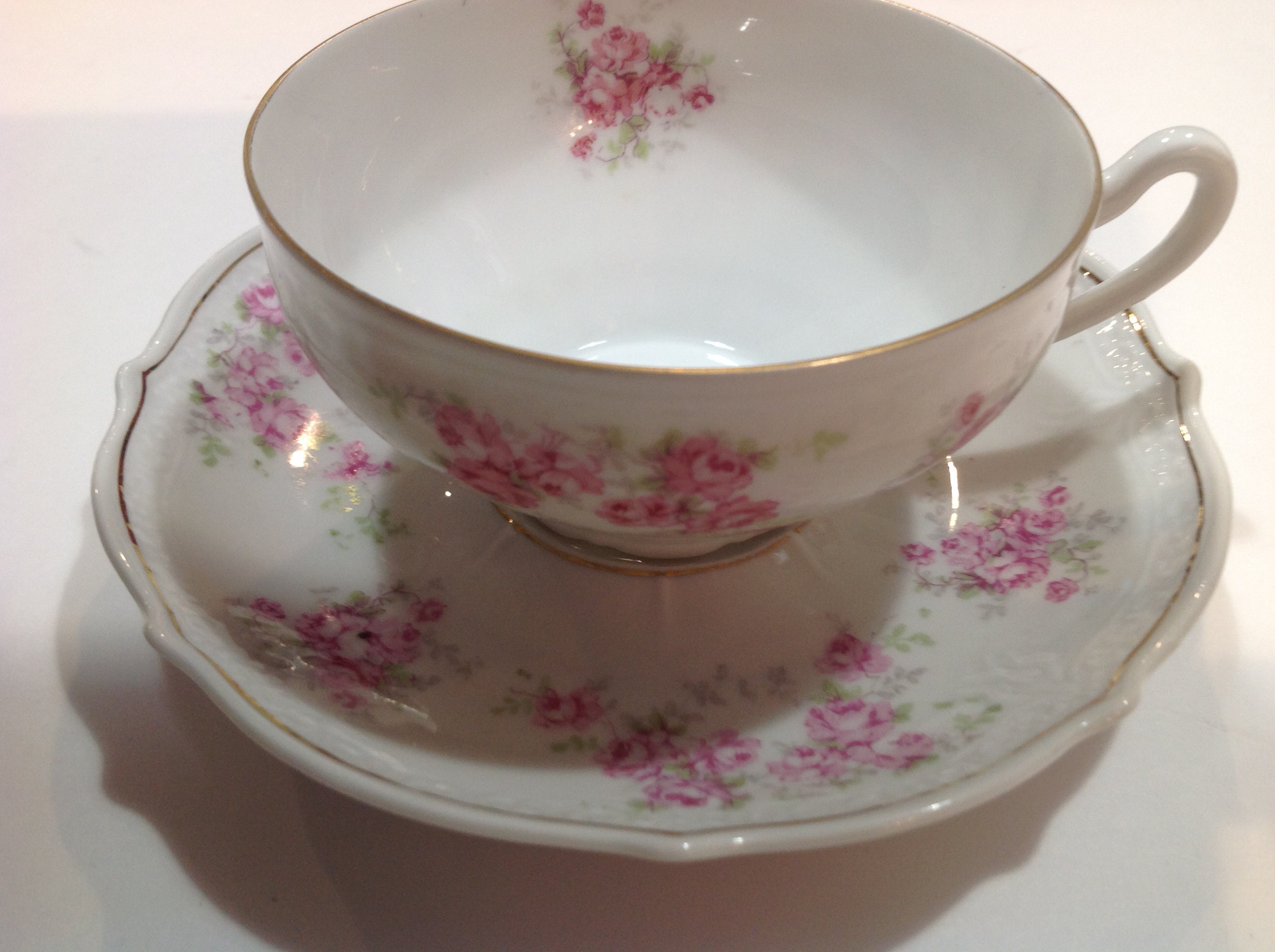 Carl Tielsch C.T. Pink Rose Pattern Tea Cup and Saucer - Etsy