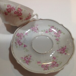 Carl Tielsch C.T. Pink Rose Pattern Tea Cup and Saucer - Etsy