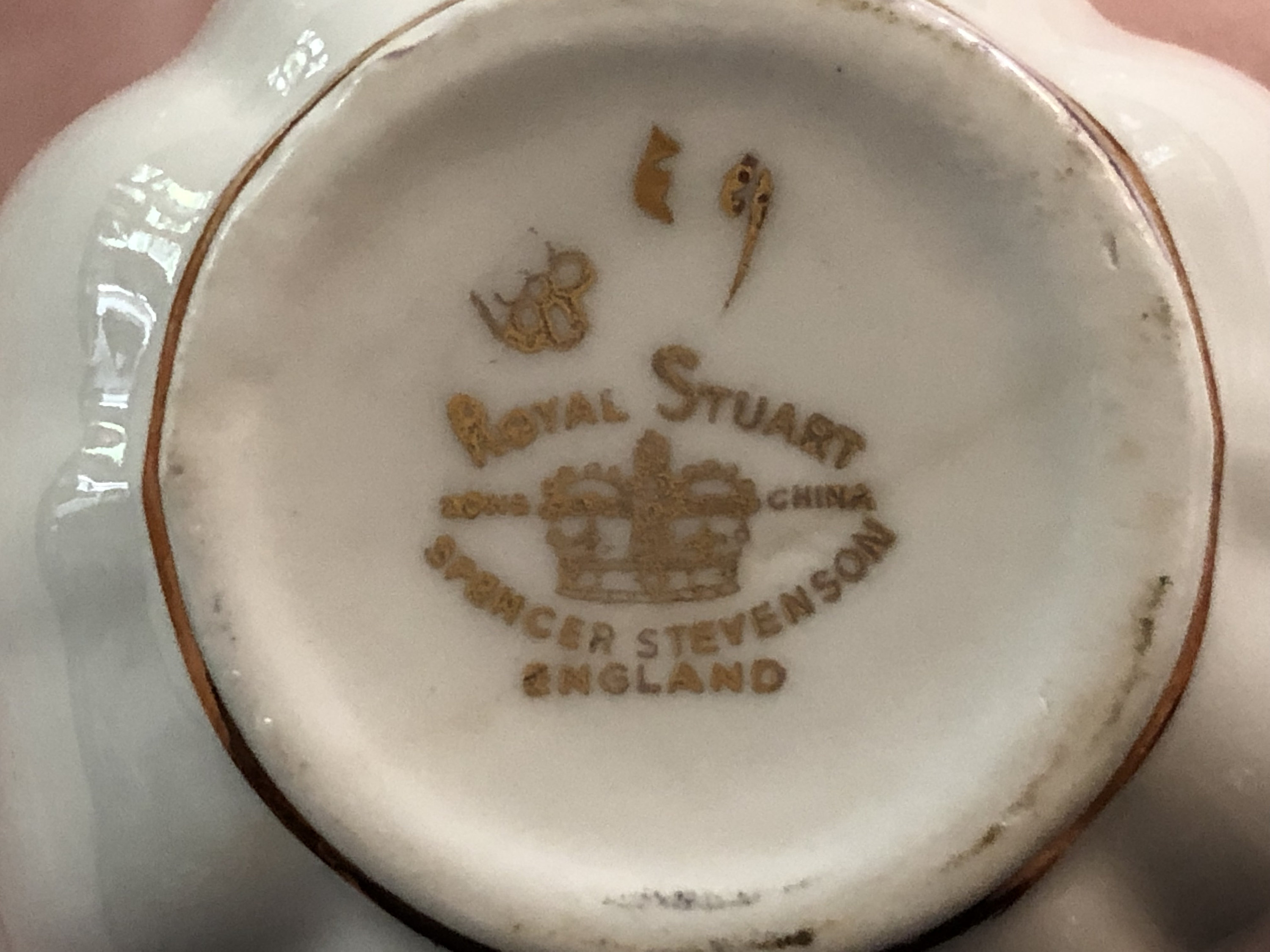 Royal Stuart Spenser Stevenson Bone China Tea Cup and | Etsy