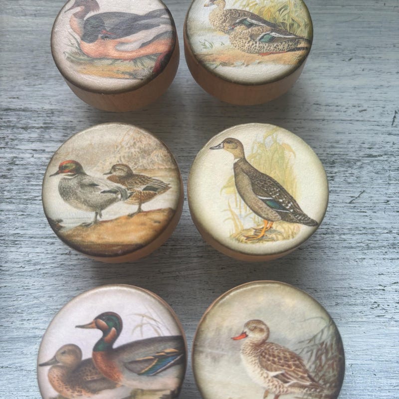 Bird Knob Drawer Pulls - Etsy