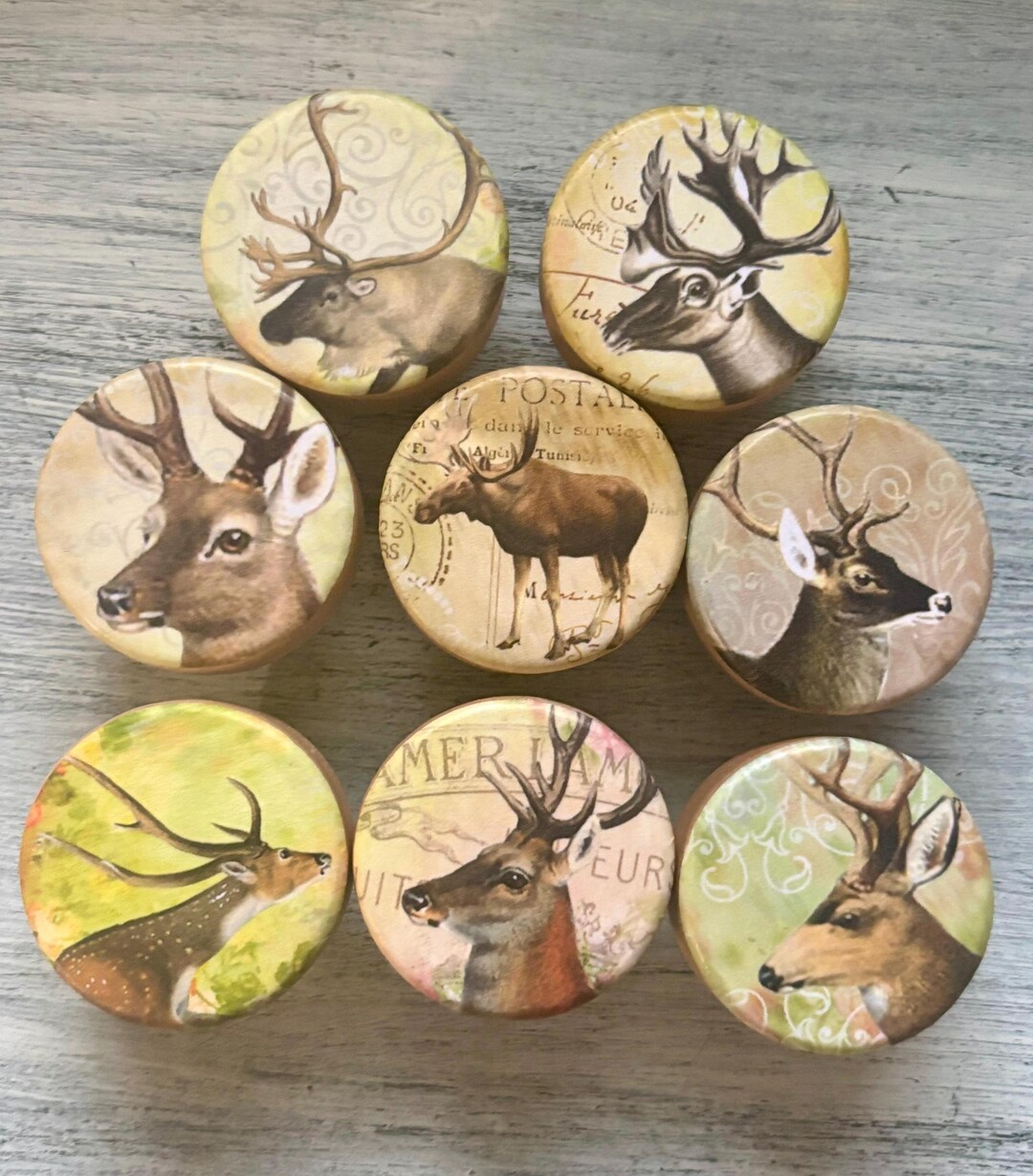 Rustic Cabinet Knobs - Wildlife Deer Buck Moose - Furniture Refresh ...