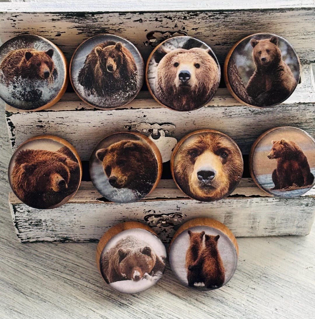 Set of 10 Bear Cabinet Knobs, Woodland Rustic Drawer Pulls, Decoupaged ...