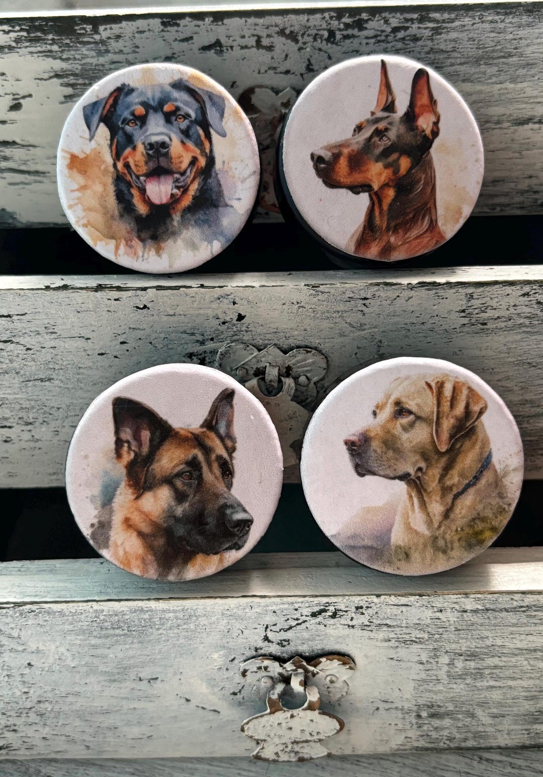 Dog Portrait Cabinet Knobs Drawer Pulls Handmade Set of 4 Rottweiler ...