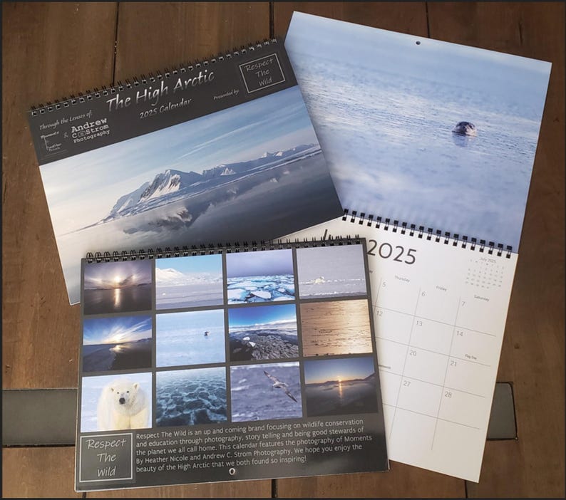 The High Arctic 2025 Calendar - Etsy