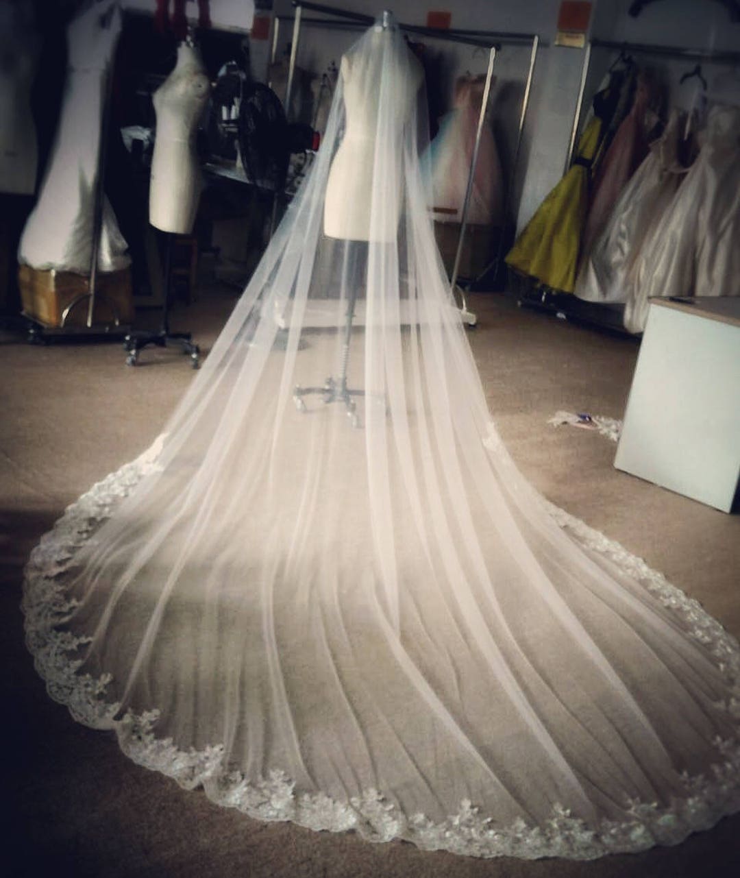 Custom Silver Threaded Beaded Lace Royal Length Veil, Long Veil ...