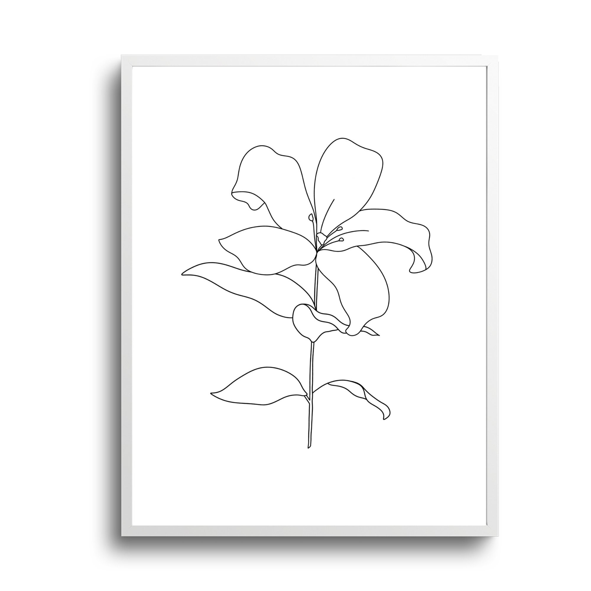 Sampaguita Flower Filipino Flower Philippines National Flower Floral ...