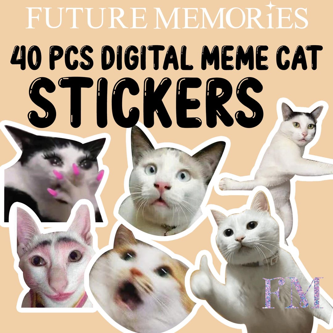 40 Pcs Digital Meme Cat Journal Stickers Downloadable for Ipad, Android ...