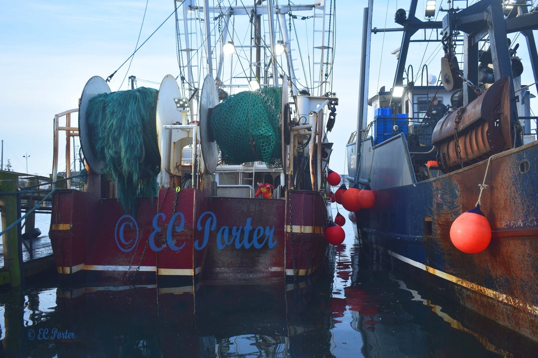 Two Fishing Draggers, in Galilee, Unloading Their Catch - Etsy