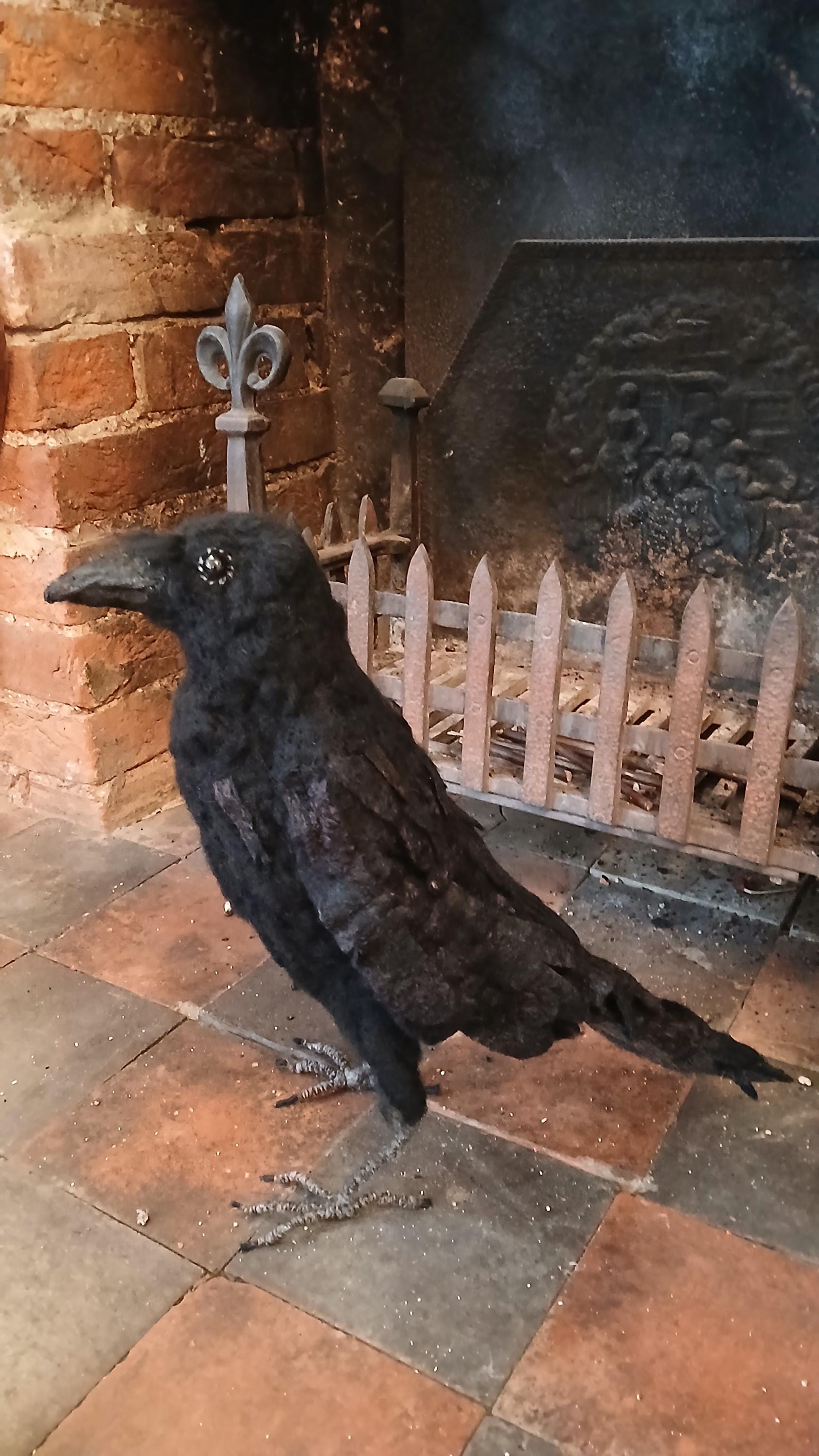 Crow/ Raven Textile Sculpture Halloween Decor Wild Bird Realistic Faux ...