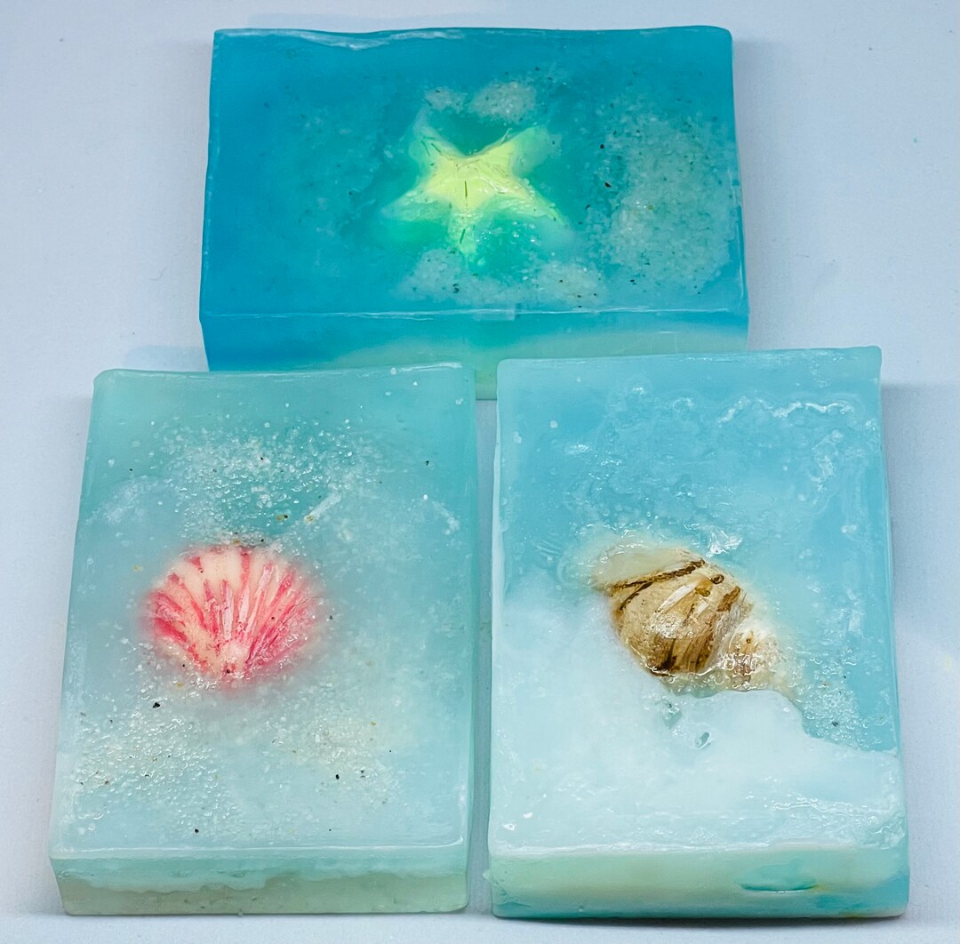 Hand-painted Seashell Soap, Set of Three - Etsy