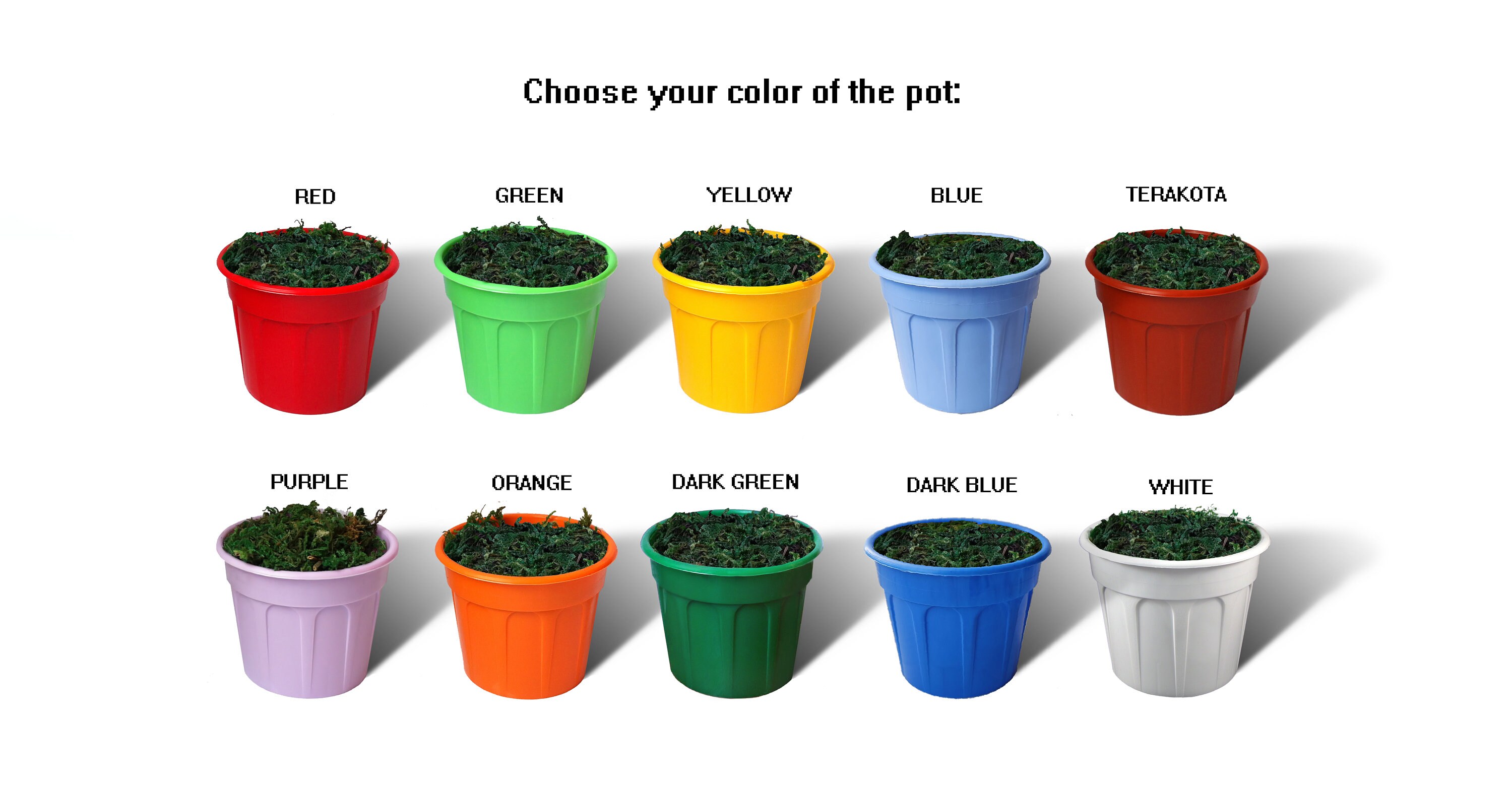 Pokemon Gardevoir Pokemon Birthday Pokemon Gift Pokemon | Etsy