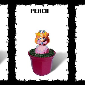 Super Mario RPG Legend of the Seven Stars Figures in Plant Pots – Mario ...