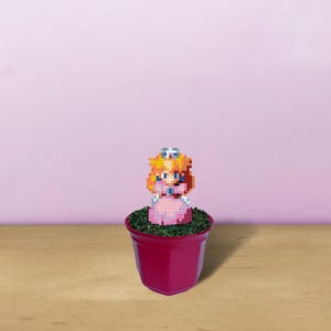 Super Mario RPG Legend of the Seven Stars Figures in Plant Pots – Mario ...