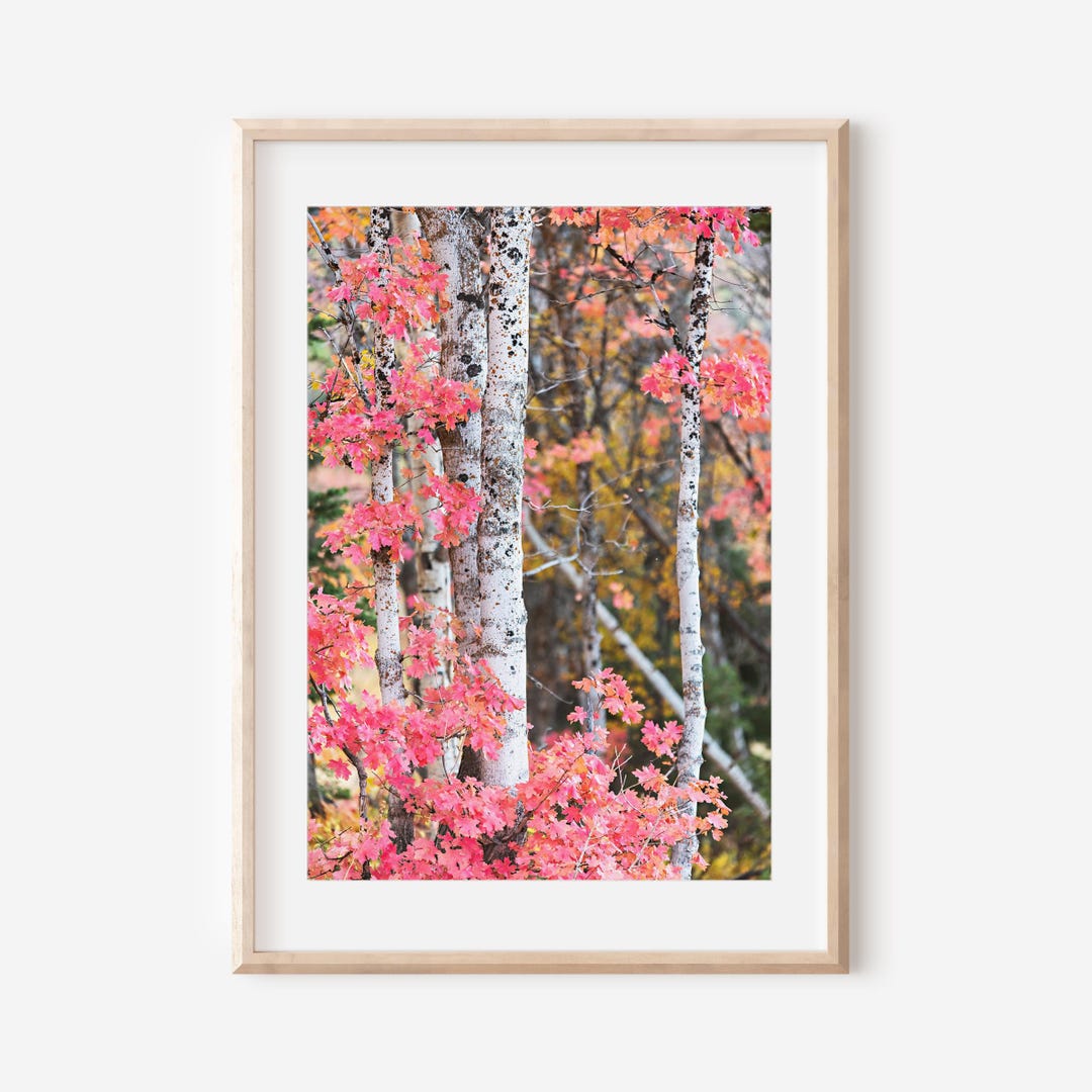 Fall Tree Decor, Photography Print, Autumn Art, Tree Photo, Fall ...