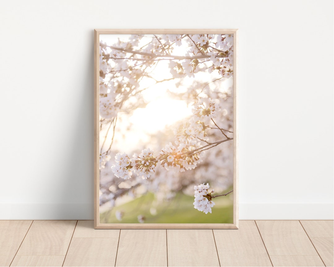 White Spring Flowers Photography Prints Canvas Wall Art - Etsy