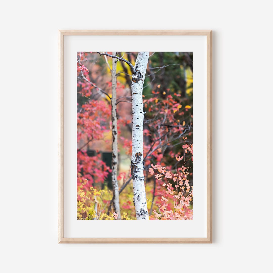 Autumn Tree, Photography Print, Leaves Print, Fall Wall Decor, Tree ...