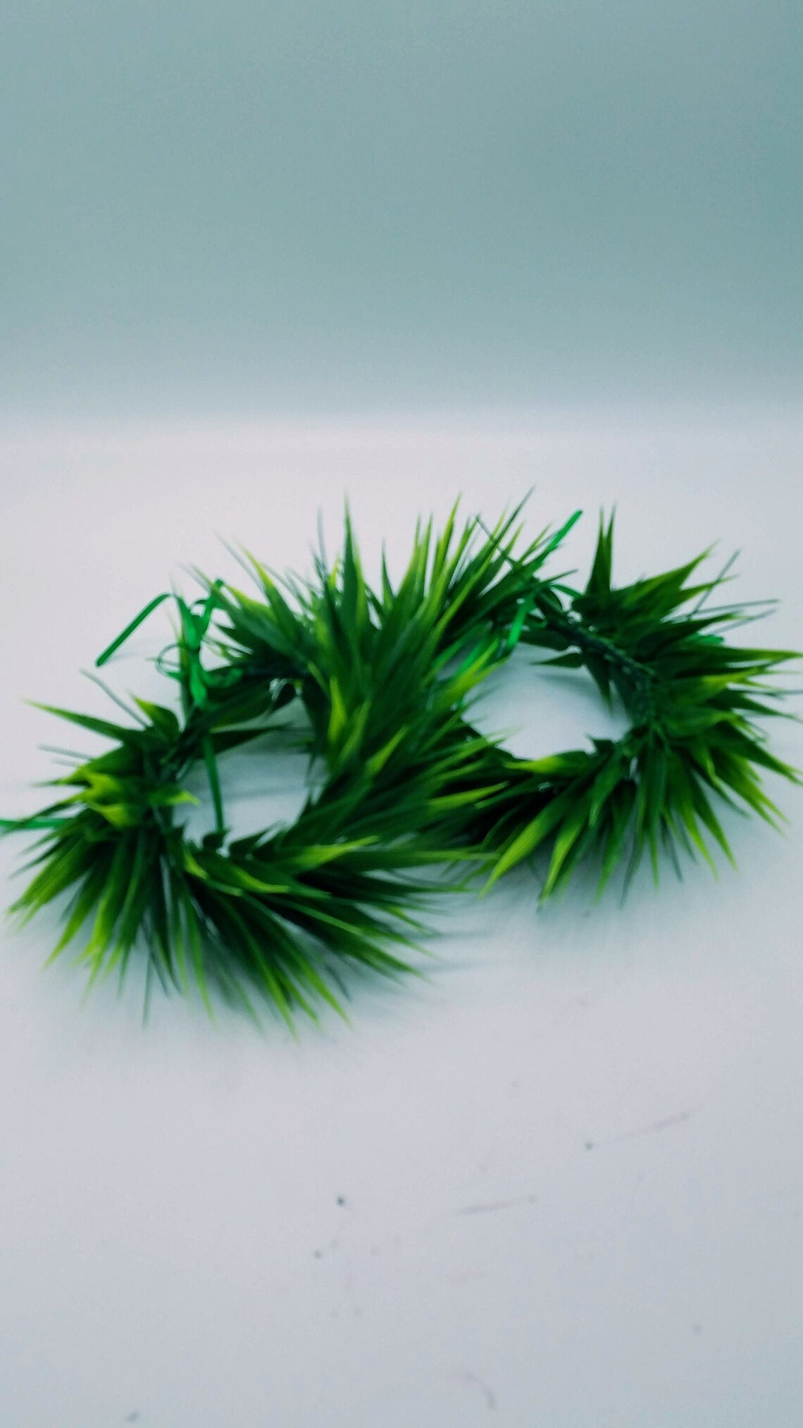 Ankle Lei Kupe'e or Kupee Set 2 Count for Dance - Etsy