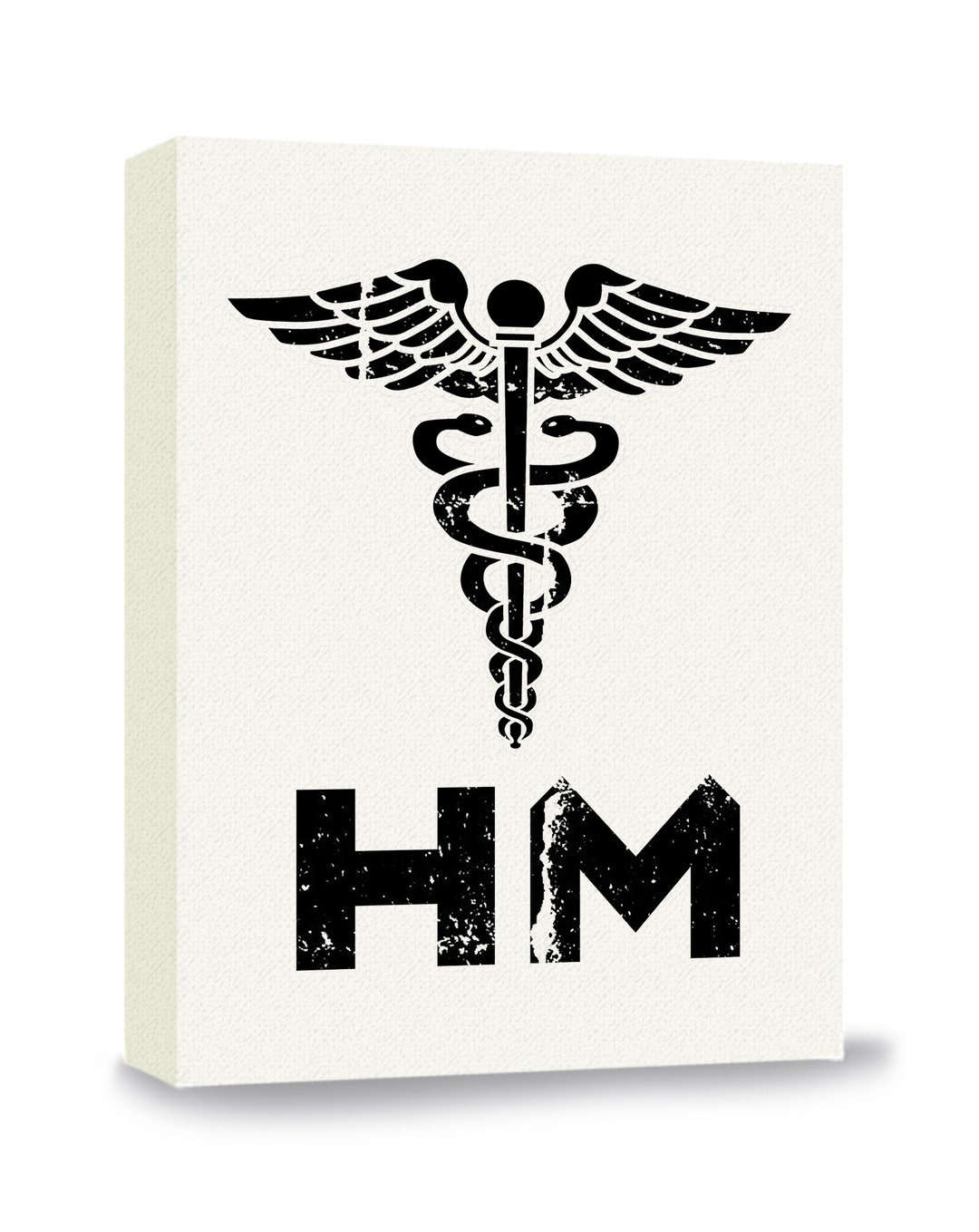 Navy Hospital Corpsman (HM) Ratings Badge Gallery Wrapped Canvas - Etsy