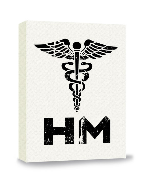 Navy Hospital Corpsman HM Ratings Badge Gallery Wrapped | Etsy