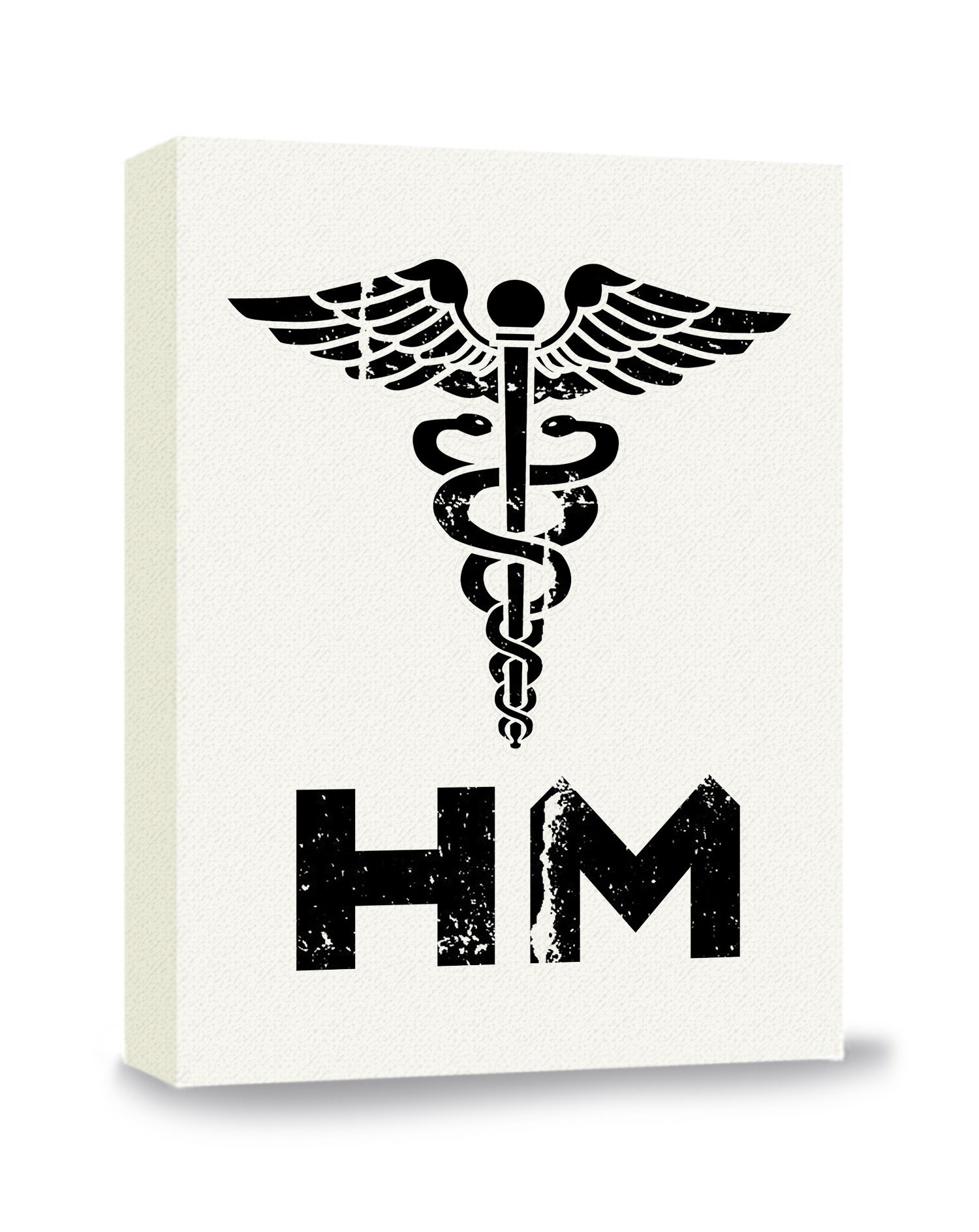 Navy Hospital Corpsman HM Ratings Badge Gallery Wrapped | Etsy