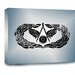 Navy Cryptologic Technician CT Ratings Badge Gallery Wrapped Canvas - Etsy