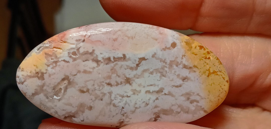 Feather Ridge Plume Agate - - Etsy