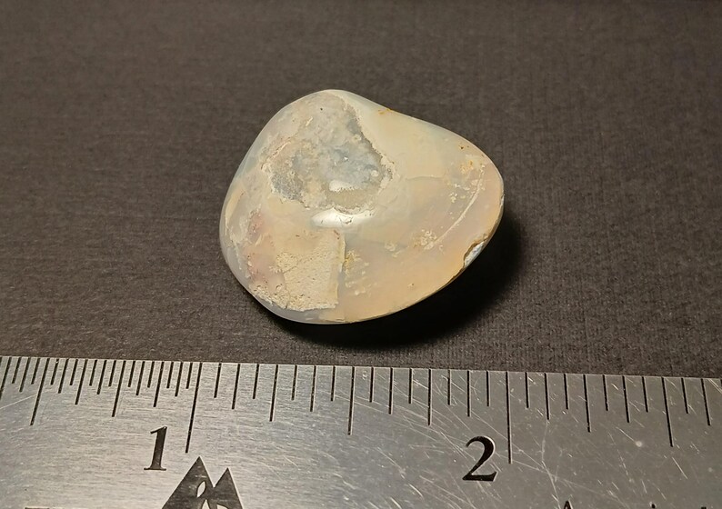 Opalized Fossilized Clam Shell - Complete Clam - Etsy